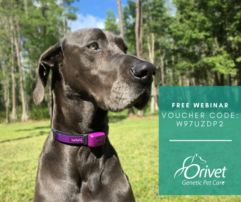 Biometrics and the Digital Patient – Landing Page – News